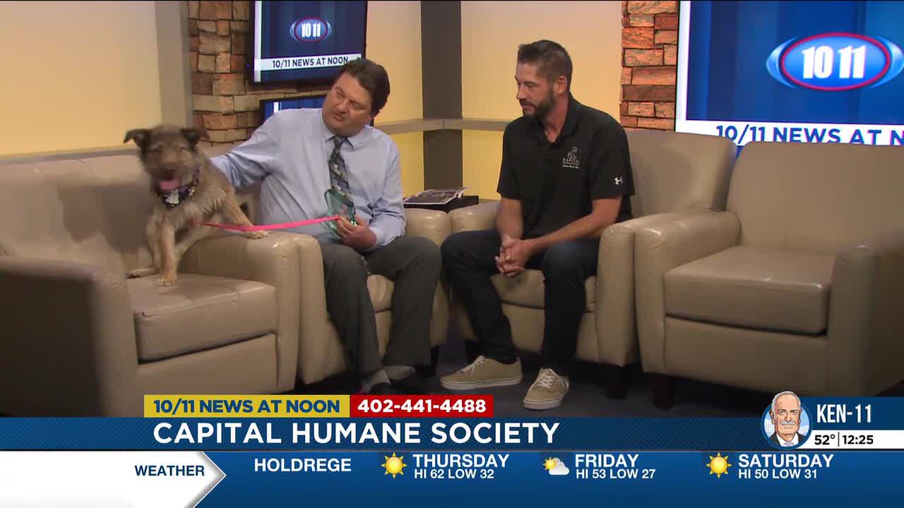 10/11’s Brad Anderson recognized by Capital Humane Society for helping ...