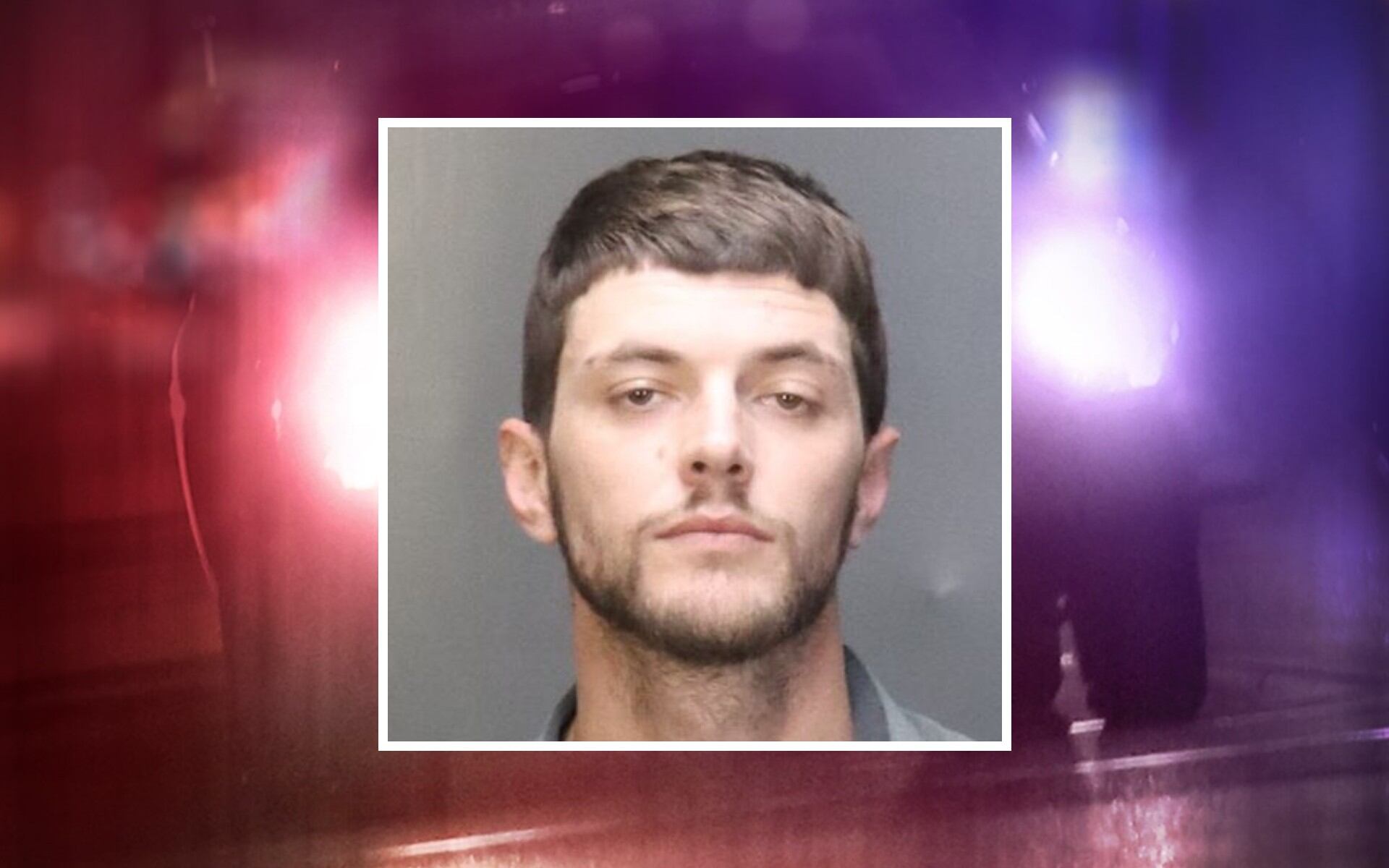 Man attempted to run over victim with his Toyota Prius, crashed into ...