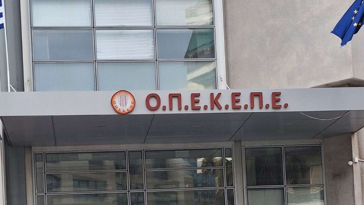 Από την Ελλάδα στην Ευρώπη: Ο ΟΠΕΚΕΠΕ και ο «Φραπές» στο ετήσιο κουίζ ...