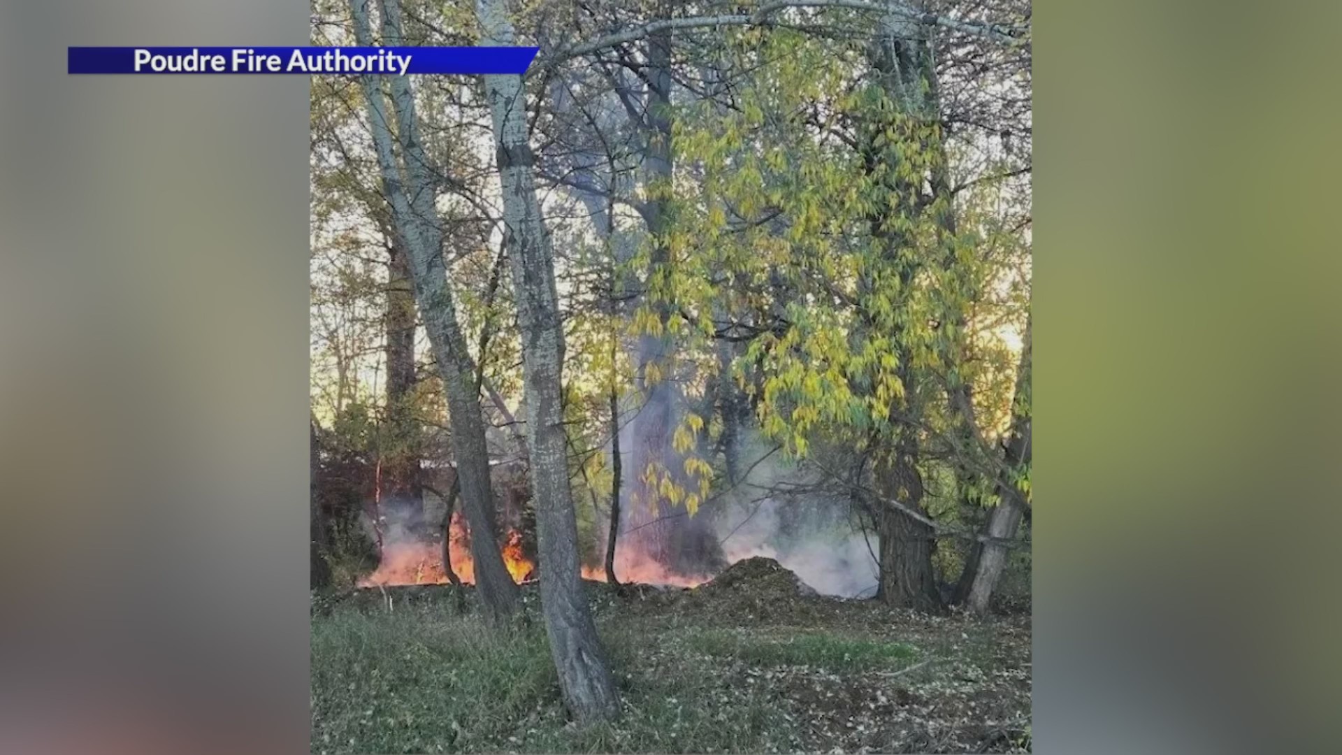 Man mowing lawn sparks small wildfire in Fort Collins