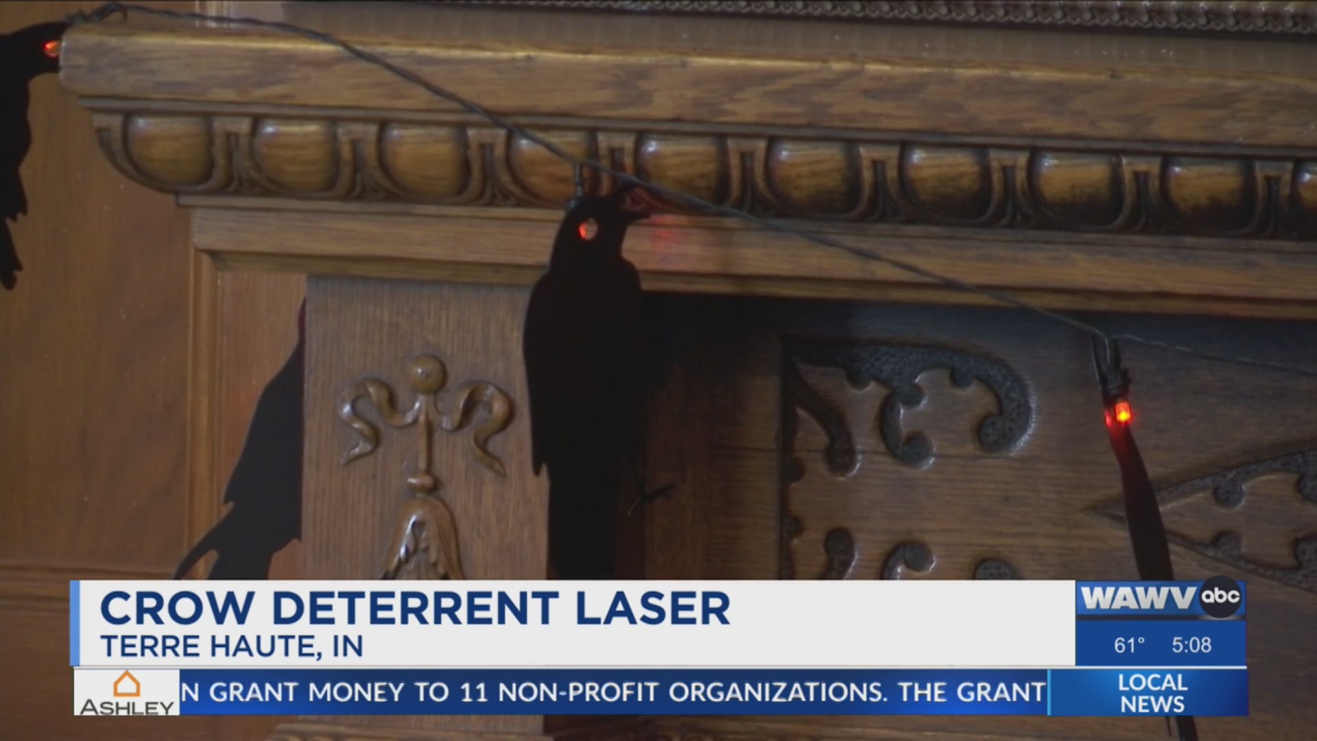 Crow deterrent laser system installed in downtown Terre Haute