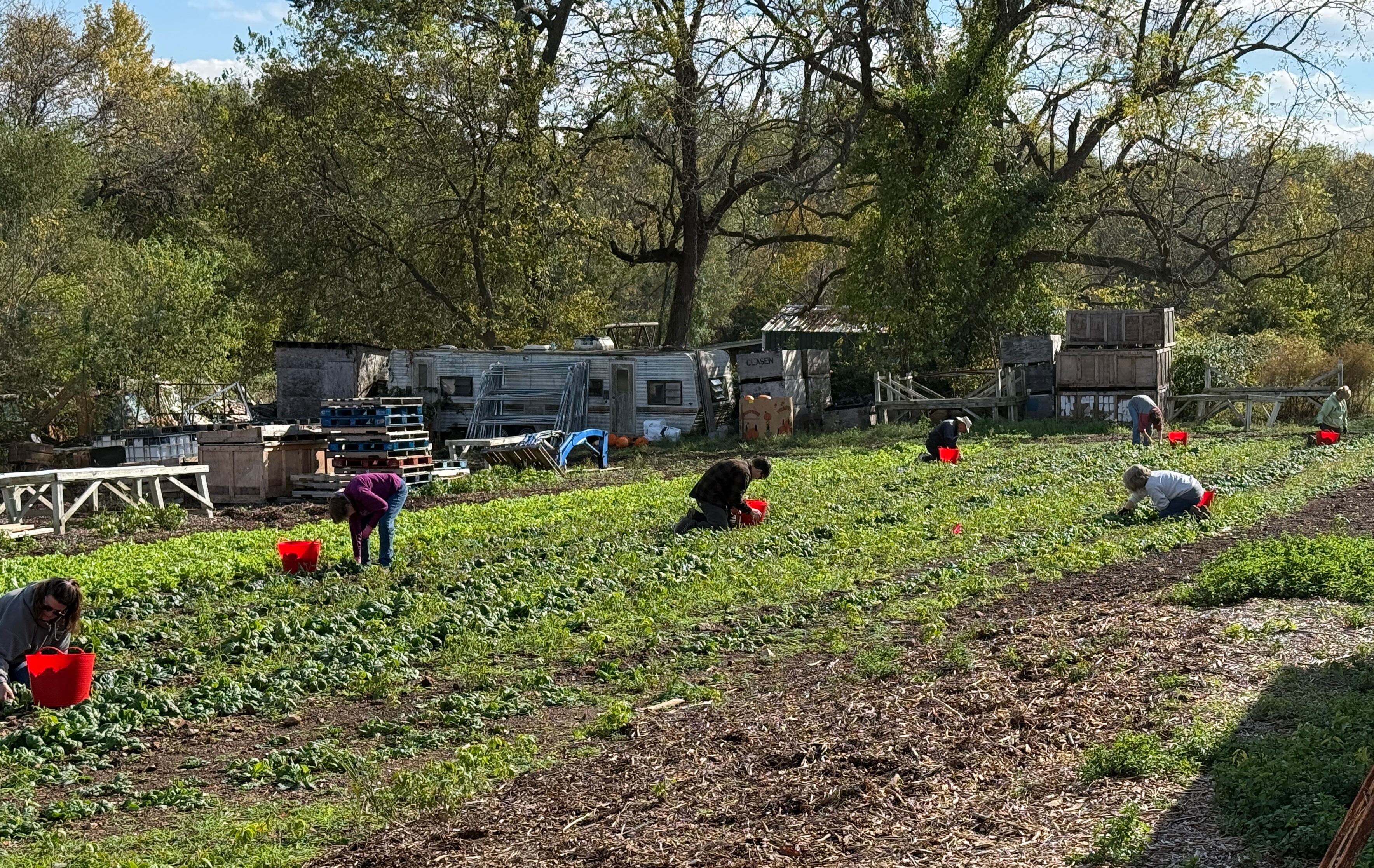 FIRST ALERT WEATHER: Fassnight Creek Farms and Ozarks Food Harvest ...