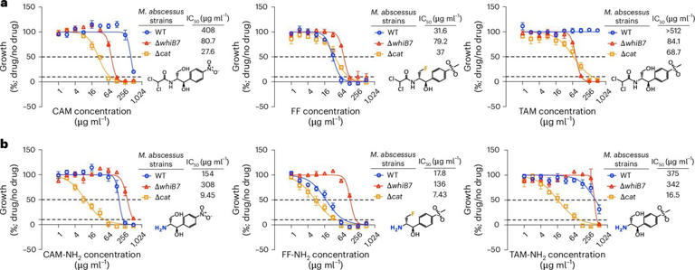 Approach to combat antibiotic resistance turns bacterium's genes against it