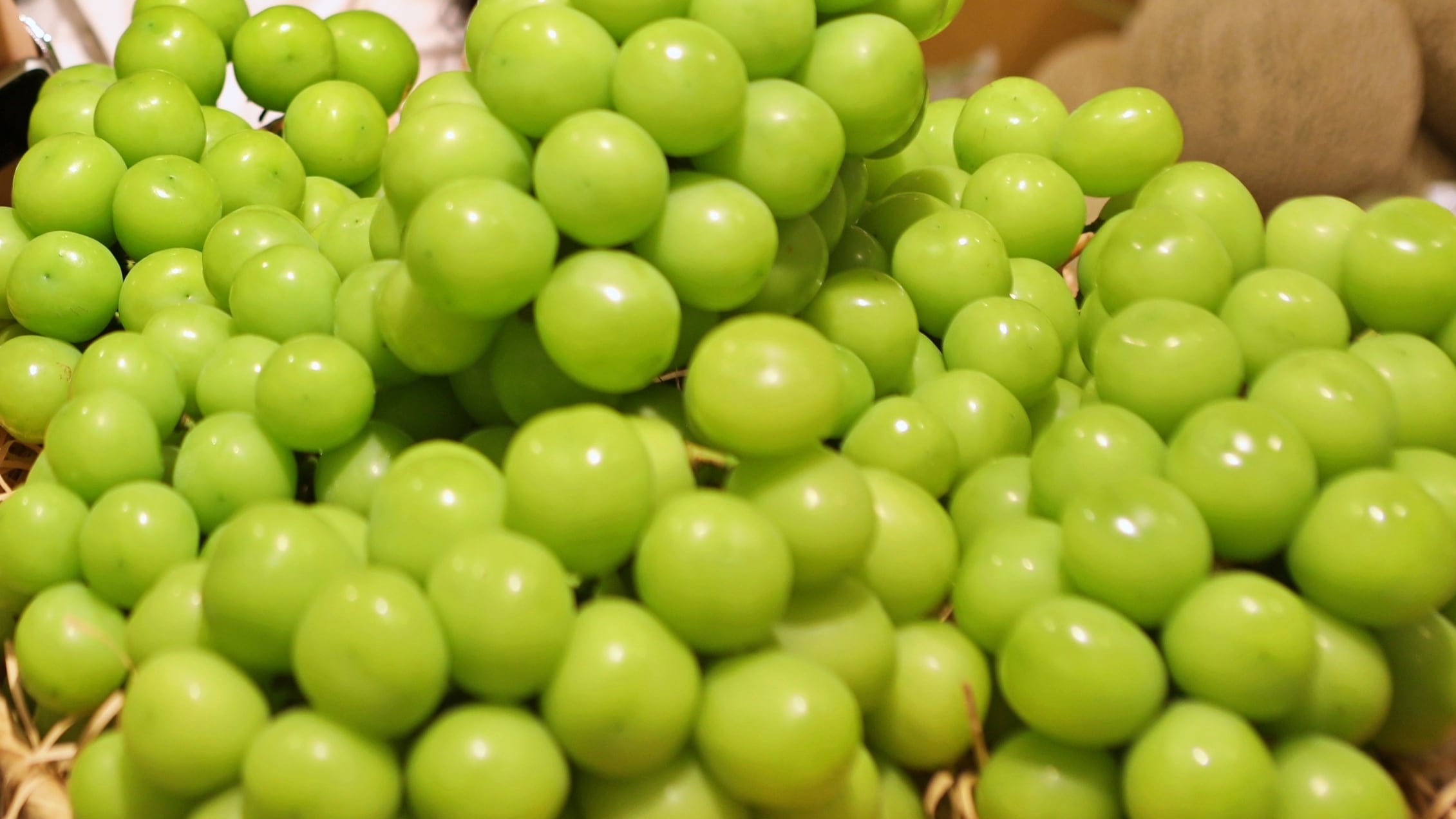Noble Fruit Shine Muscat Now Sold as Clearance Stock