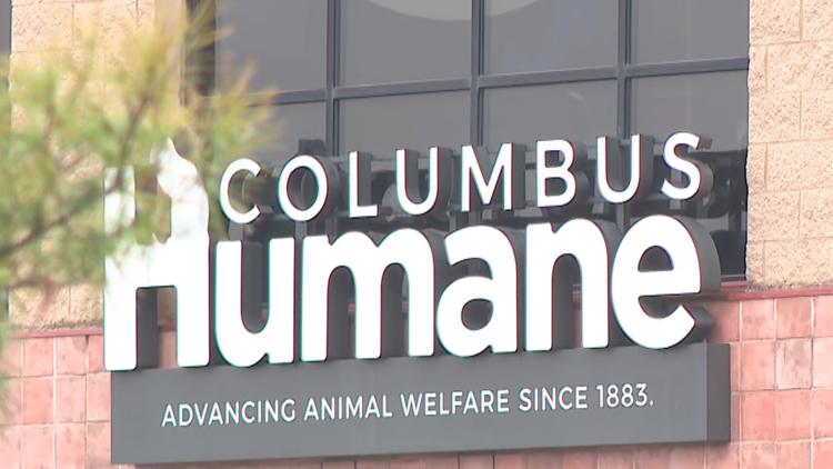 Columbus Humane takes dog into custody following abuse claims; man charged