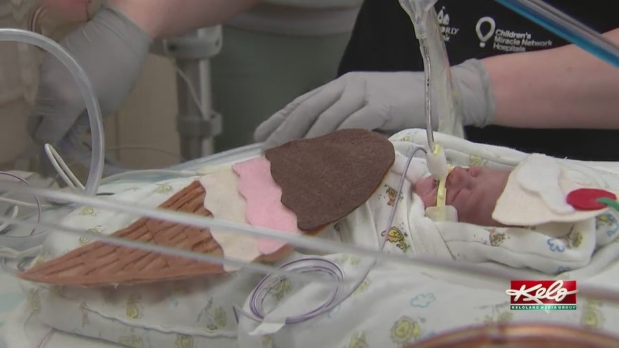 Sanford NICU babies dress for Halloween