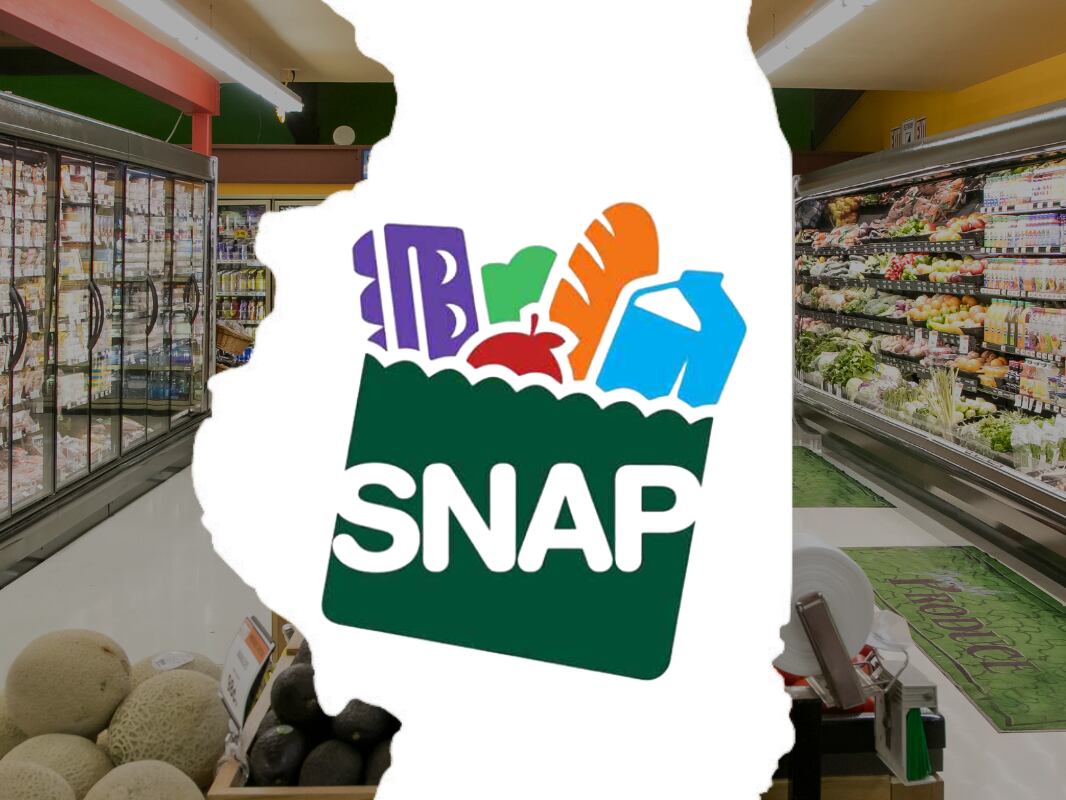 ‘Drop in the bucket’: Illinois measures to offset SNAP cuts will not ...