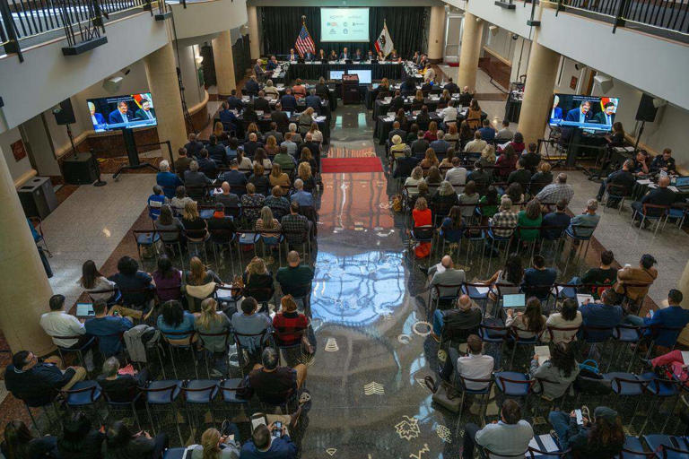 Four for 2025: Here are key actions taken by the Sacramento County ...