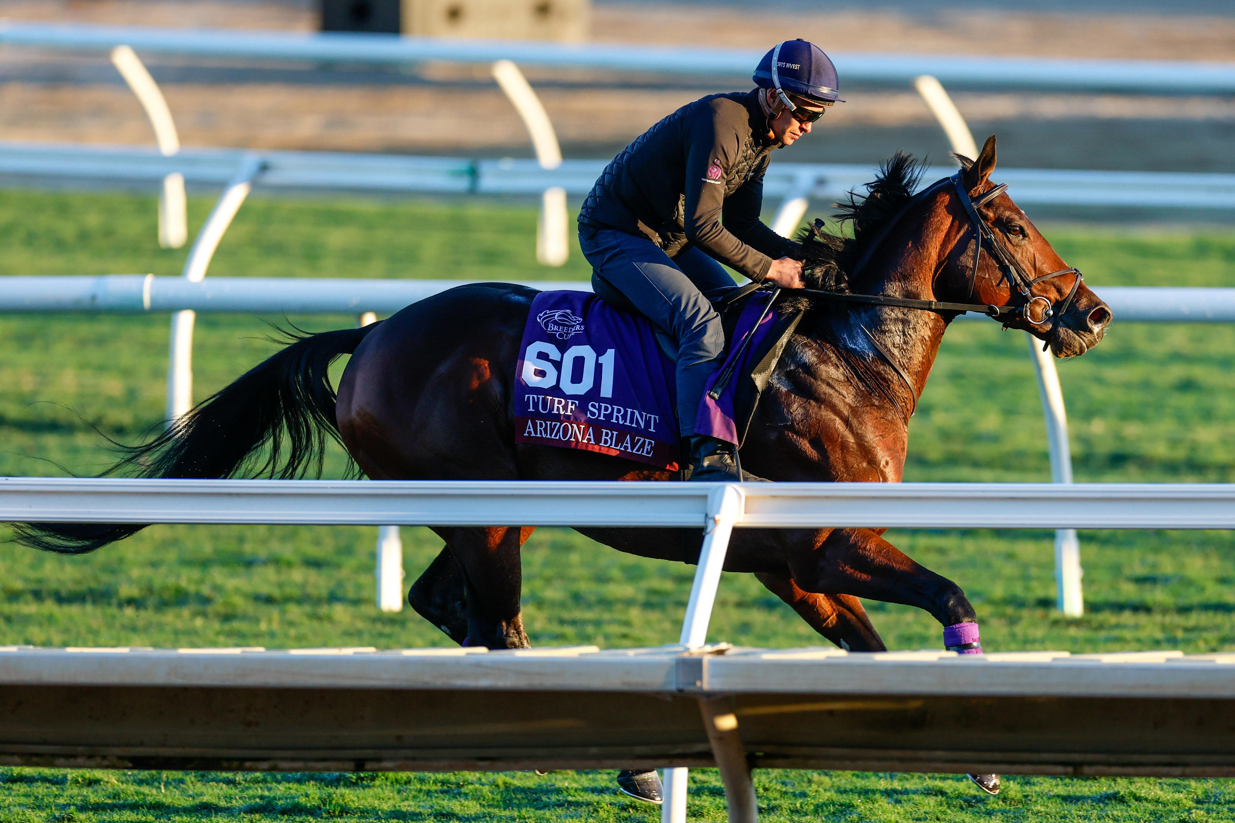 Breeders’ Cup Classic post positions, odds, entries for all of Saturday ...