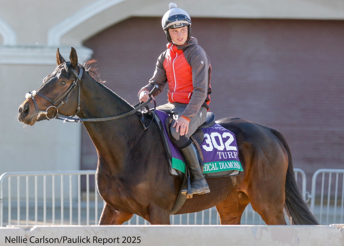 Jump On It: Irish Steeplechase Winner Takes On Breeders’ Cup Turf