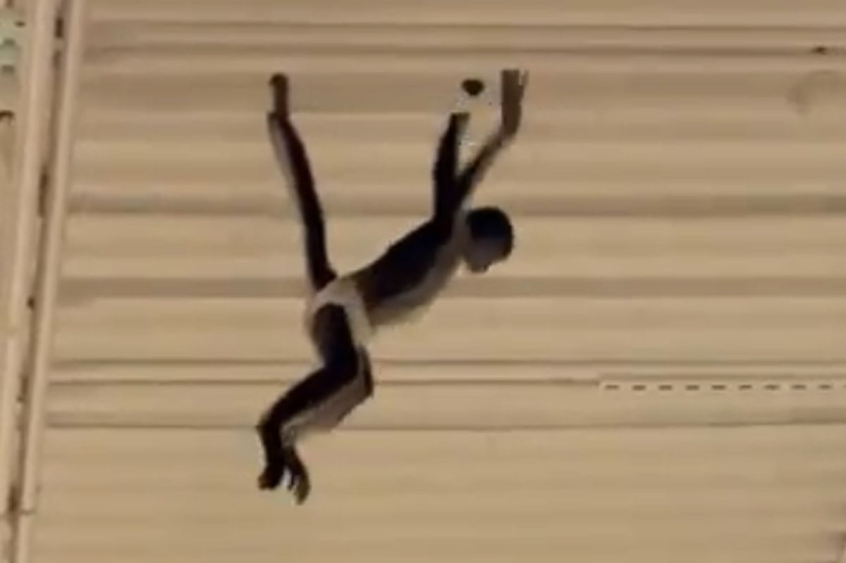 Spooked Monkey Gets Loose in Texas Spirit Halloween Store and Swings ...