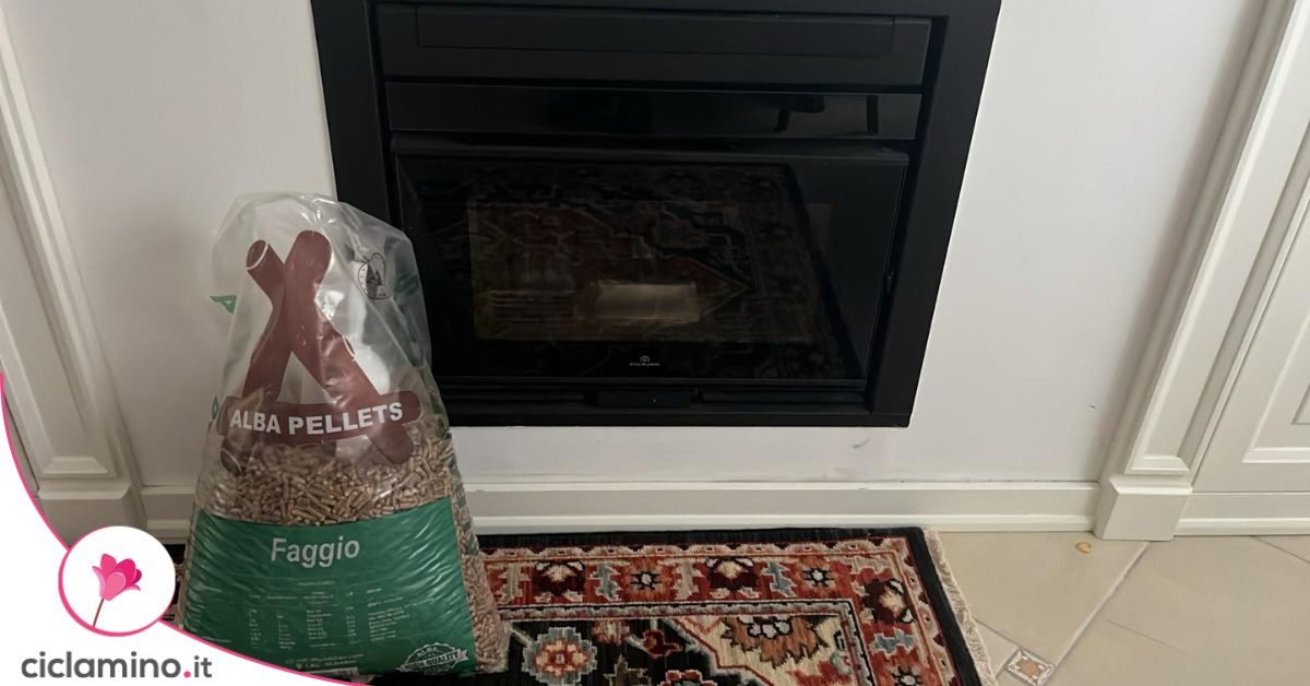 Per scegliere bene il pellet va capito prima il tipo di legno che è più ...