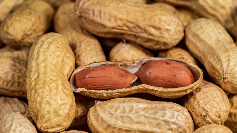 The 4 Primary Types Of Peanuts, Explained