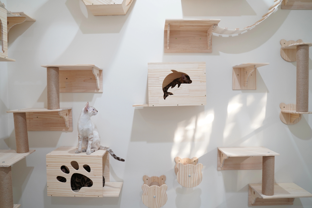 Clever Ideas for DIY Pet Furniture