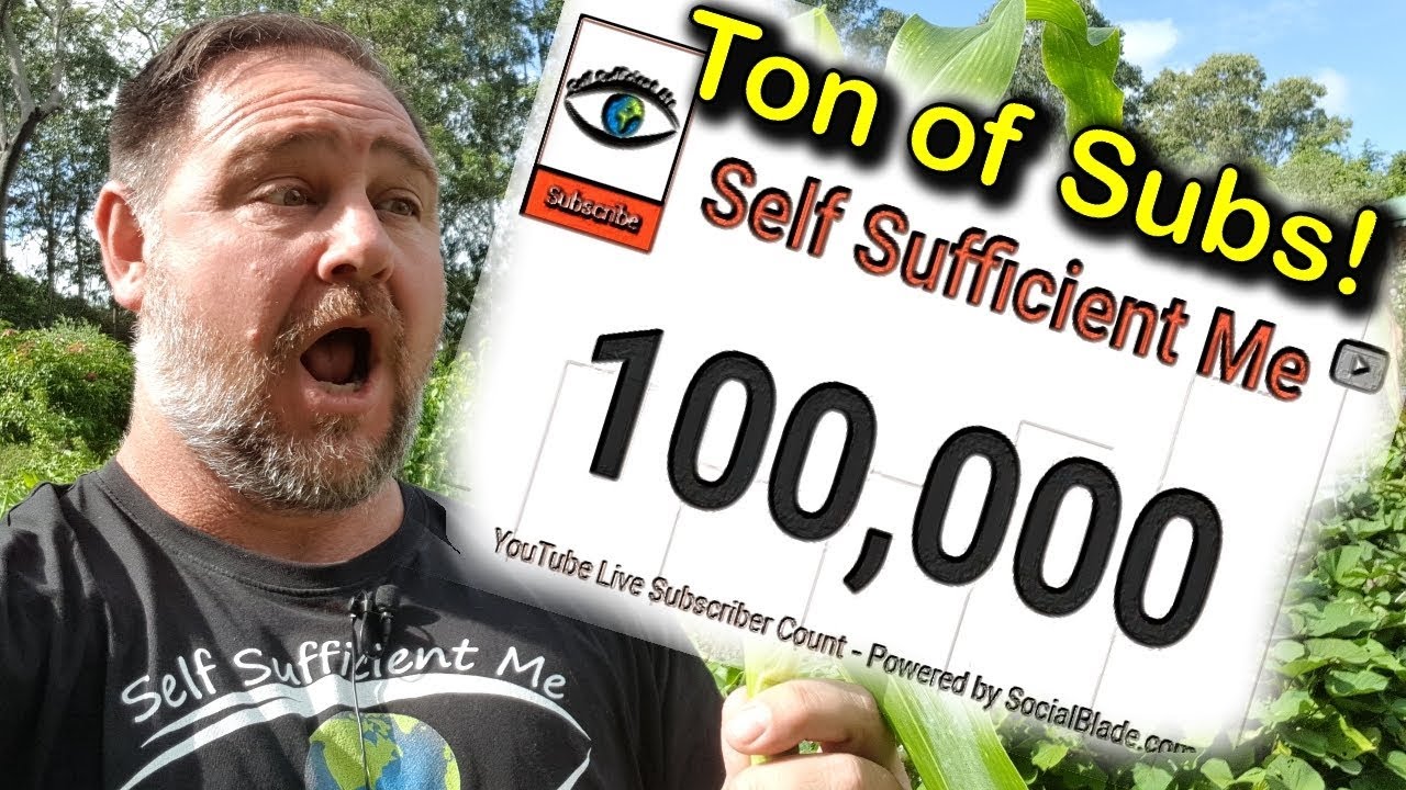 Ton of live subs count 100k self sufficient me