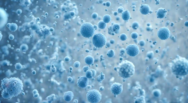 Virus Xue-Cheng: estos son los signos del "nuevo Covid-19" que deben vigilarse de cerca