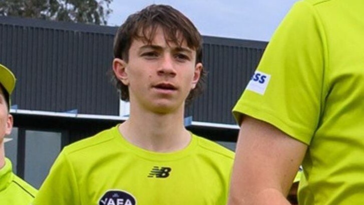 Experts call for mandatory neck protection across all levels of cricket ...