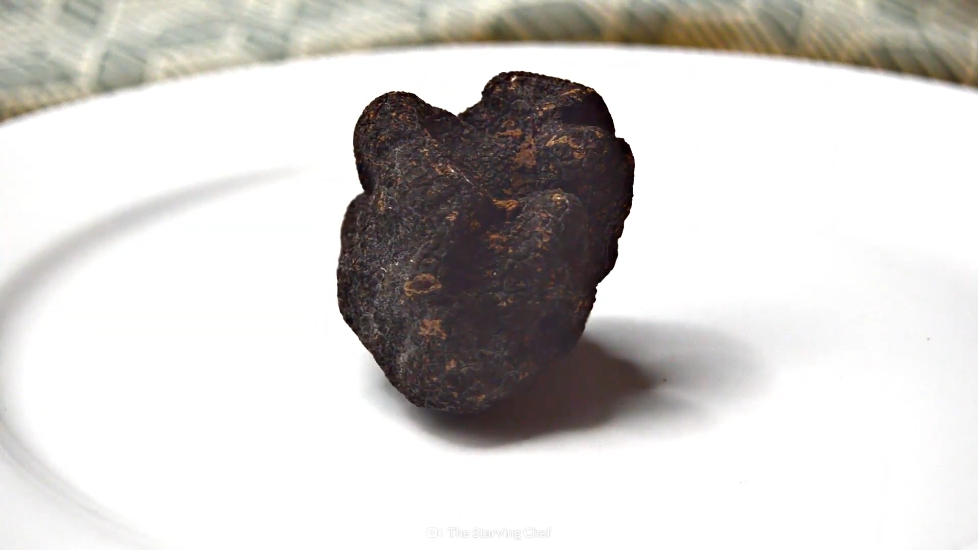 The secret behind the world’s most expensive fungus