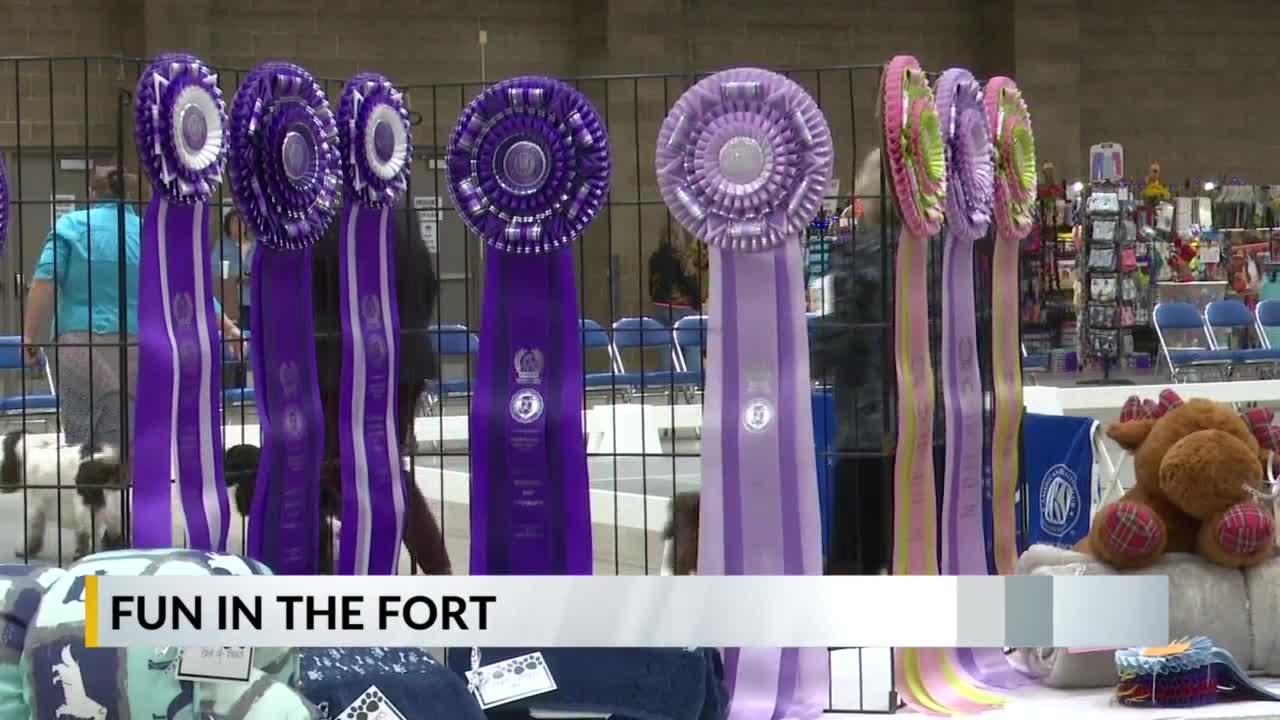 Fun in the Fort – Activities with seasonal spirit