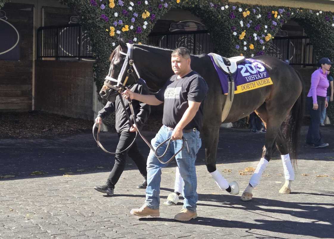 Stars Aligned To Bring Dorth Vader To Breeders’ Cup Distaff