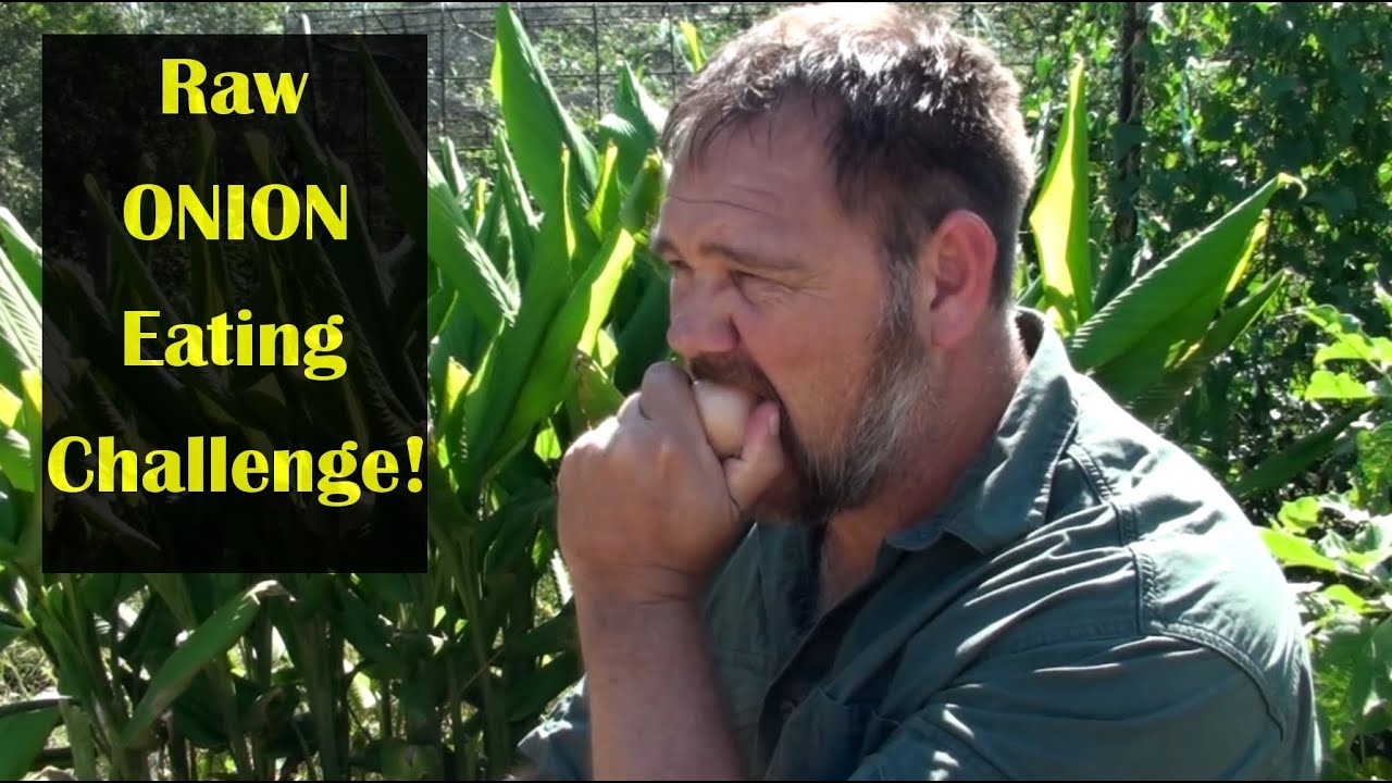 Raw onion challenge are you up to it? Abbott inspired...