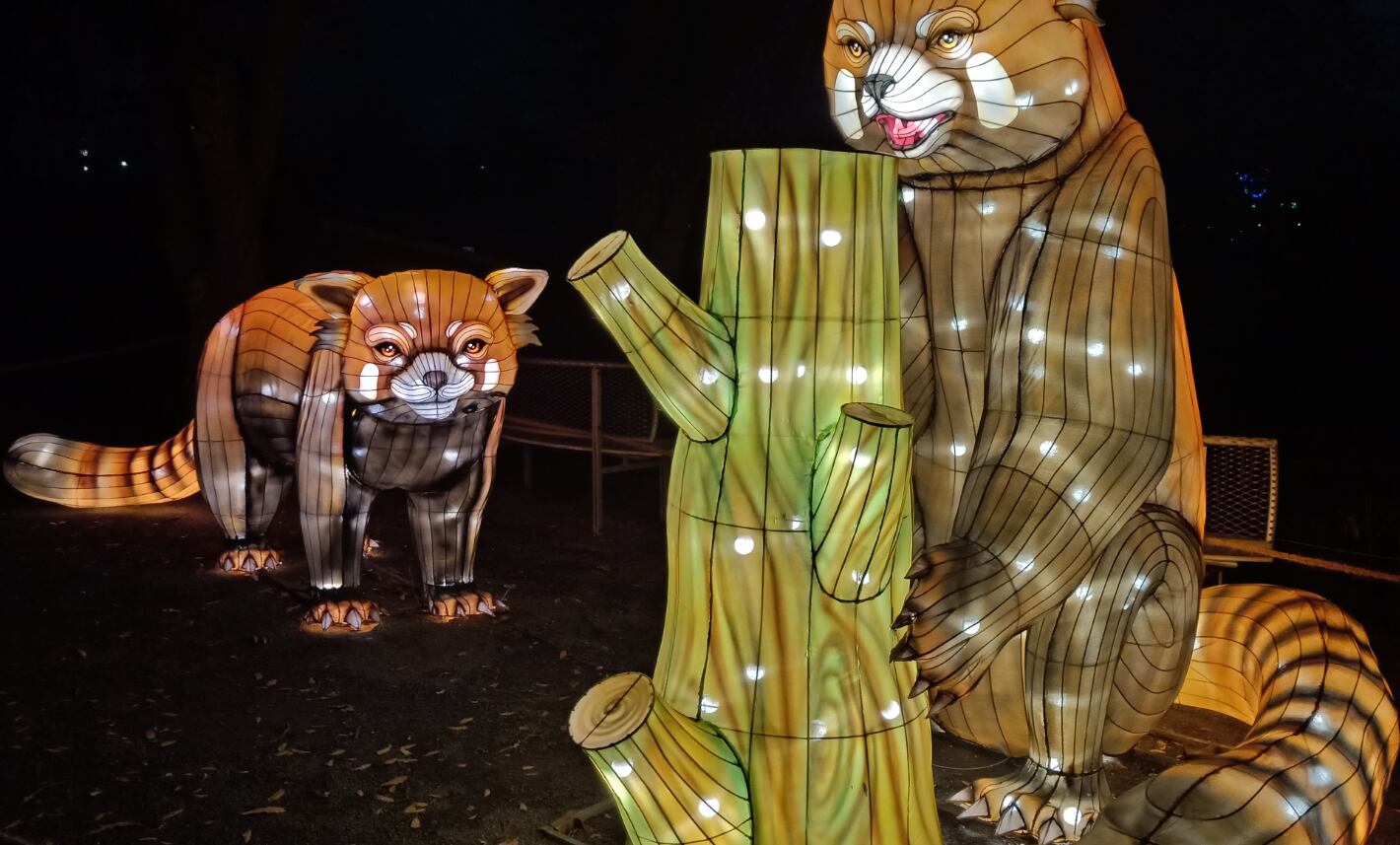 Jacksonville Zoo and Botanical Gardens getting ready for “Colors of the ...