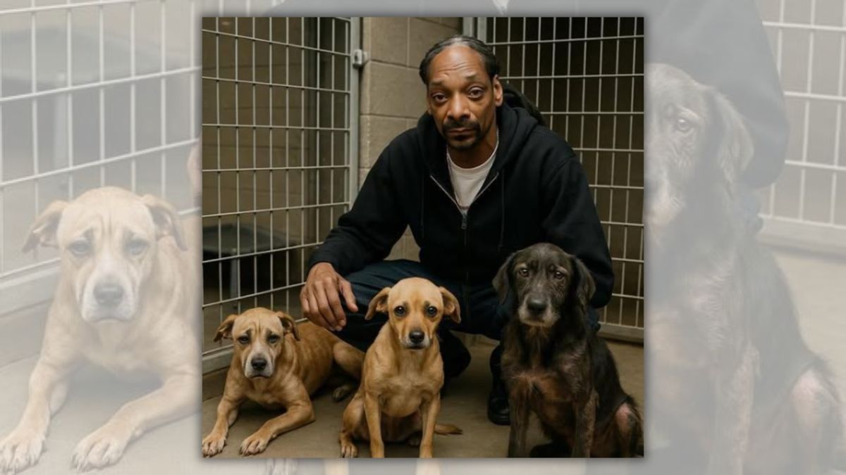 Snoop Dogg saved New York dog shelter?