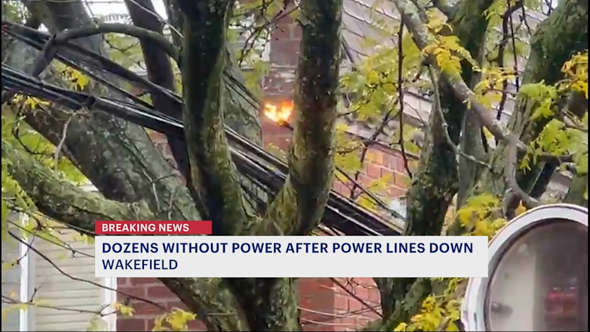 47 customers without power in Wakefield due to fallen tree