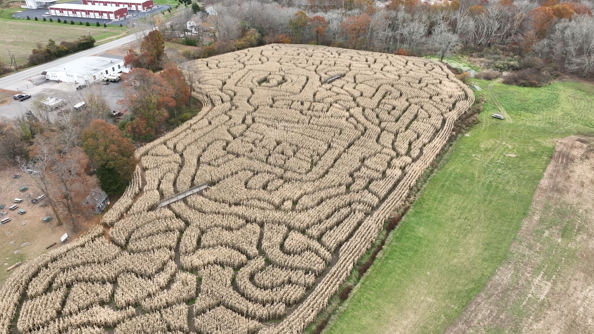 ‘Really well hidden': Preston Farms Corn Maze keeps visitors searching