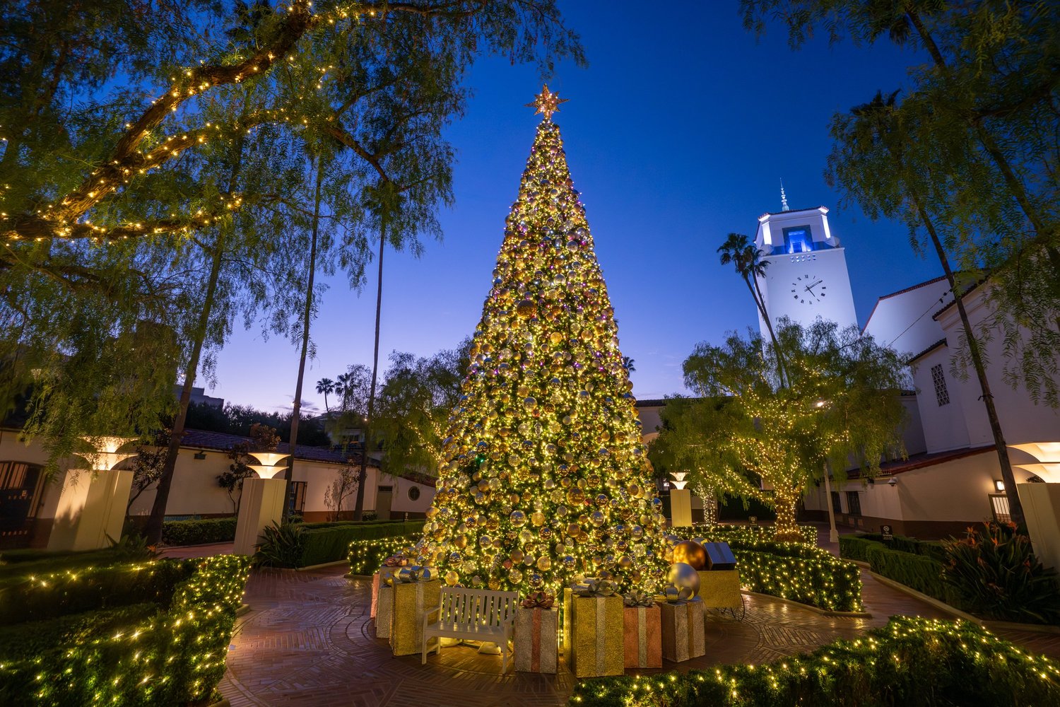 10TH ANNIVERSARY TREE LIGHTING CEREMONY, LA