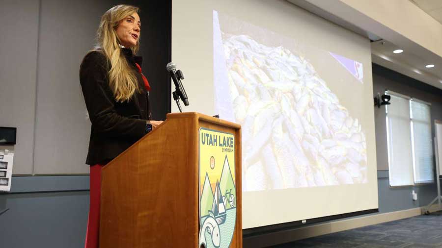 Provo mayor announces goal to remove carp, invasive plants from Utah ...