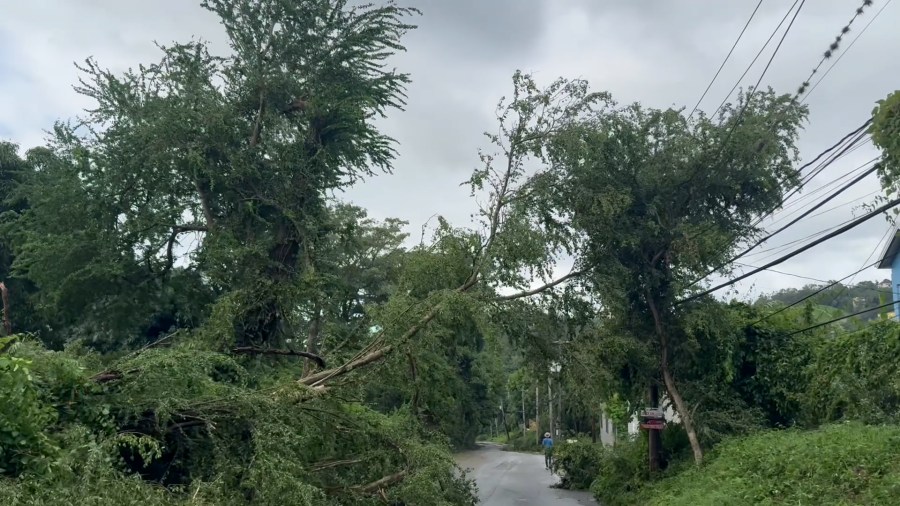 Hurricane Melissa’s Impacts on Jamaica