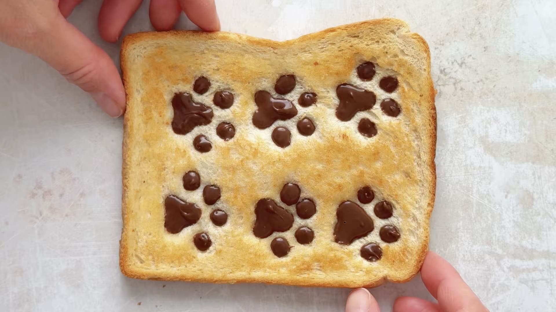 Toast à l'empreinte de patte