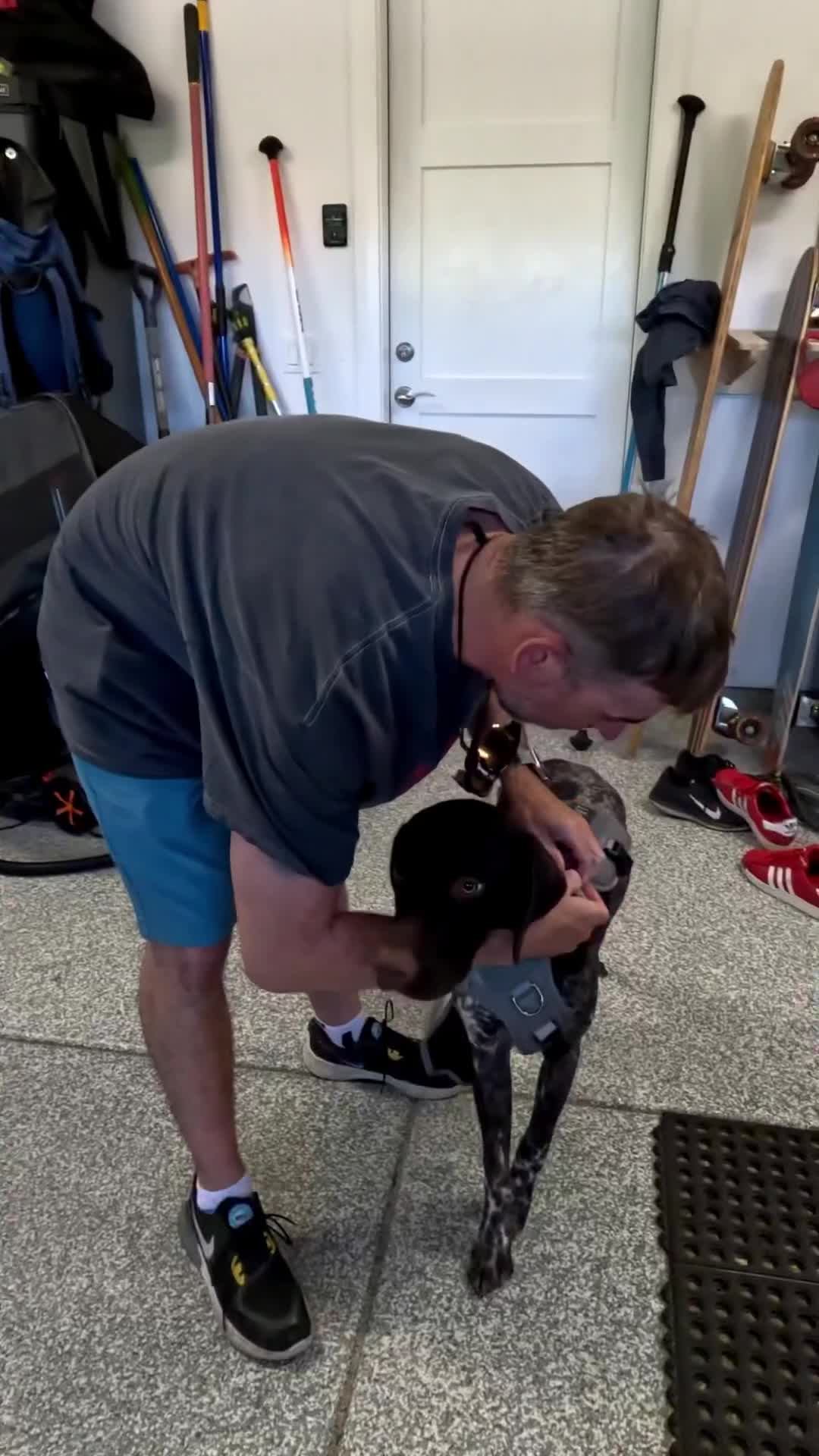 How to turn a puppy into a superhero #shorts