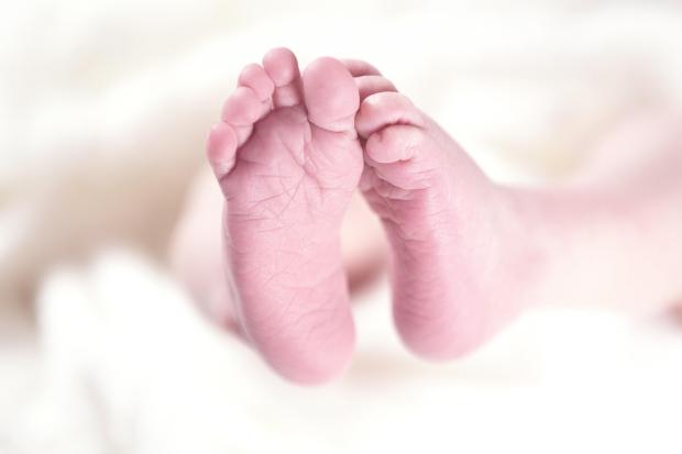 More babies born in Cumbria in May than any other month this year