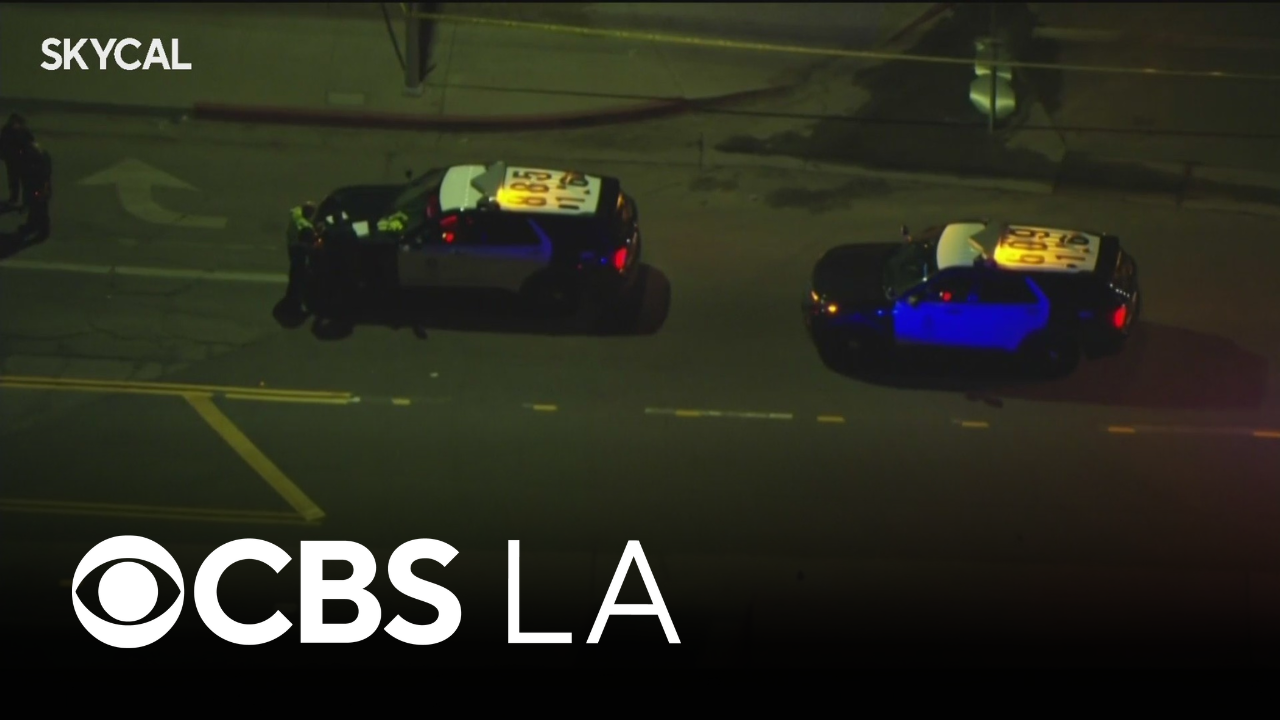 LAPD investigates deadly hit-and-run crash in Lake View Terrace