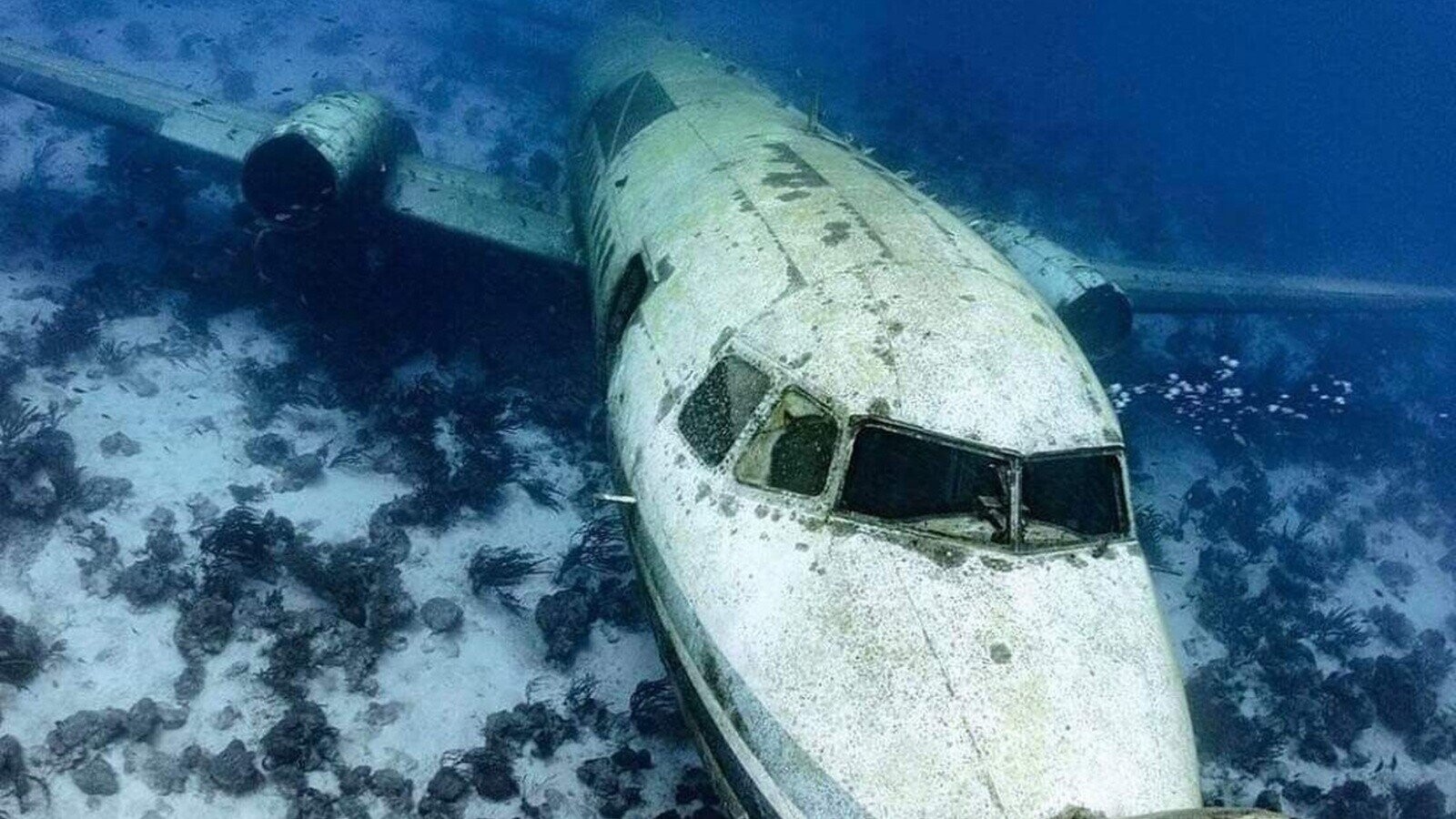 Photos Showing That What Goes Up Must Come Down