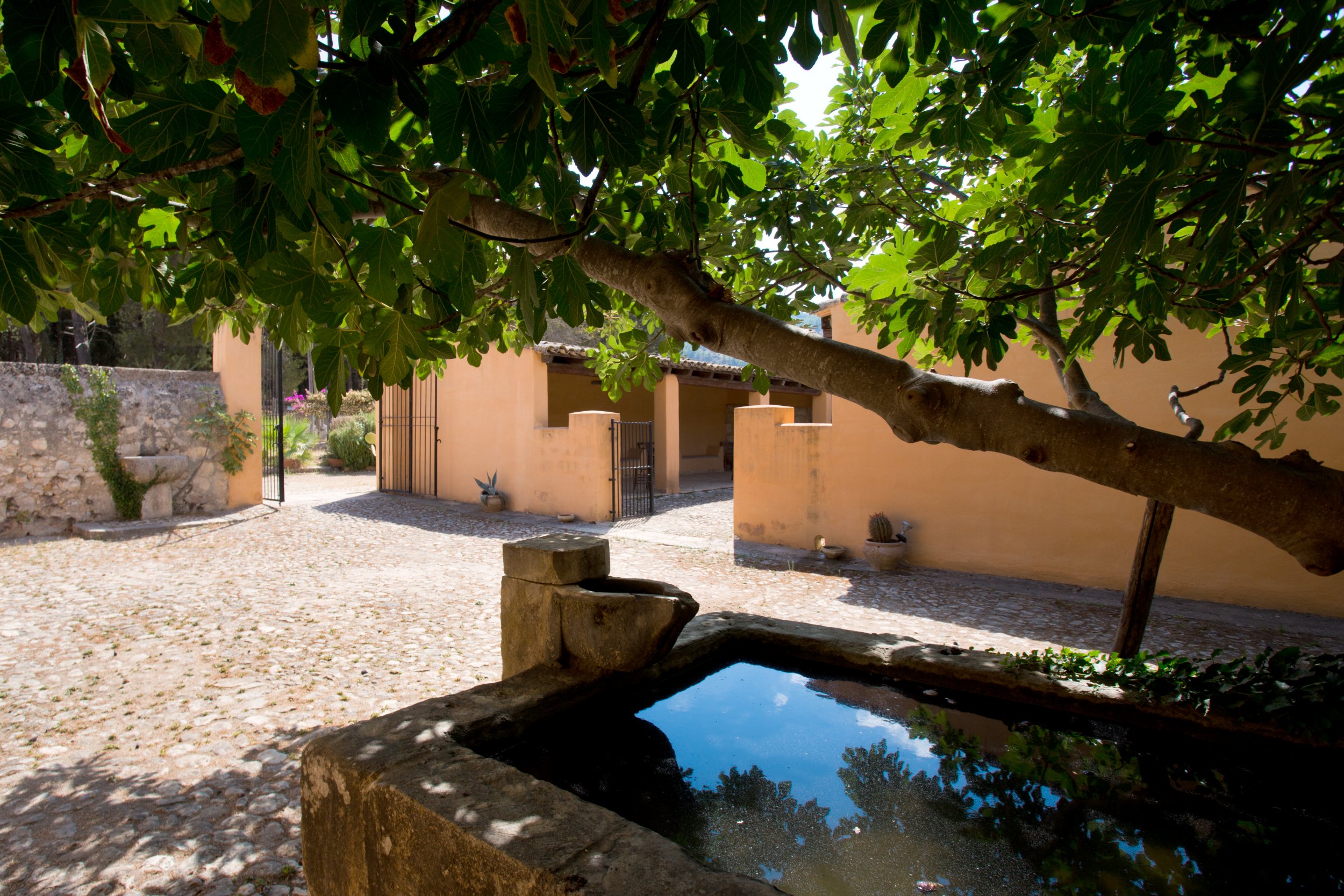 We’re rethinking our dream to buy a home in Sicily after border nightmare