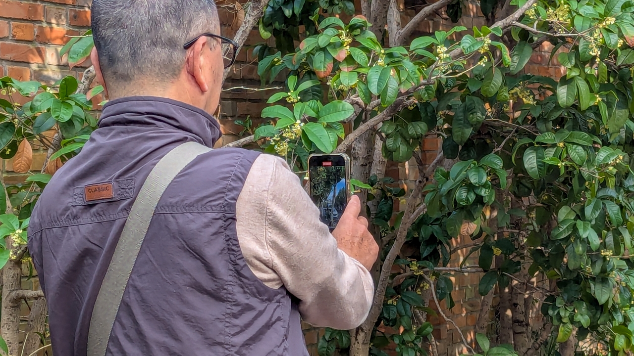 How ancient cultures used astronomy