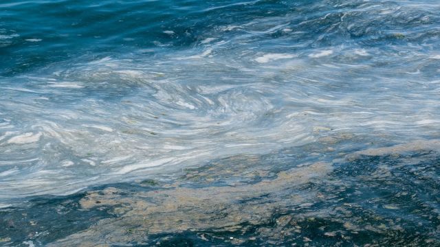 Scientists stunned after discovering mysterious bacteria in world's ...