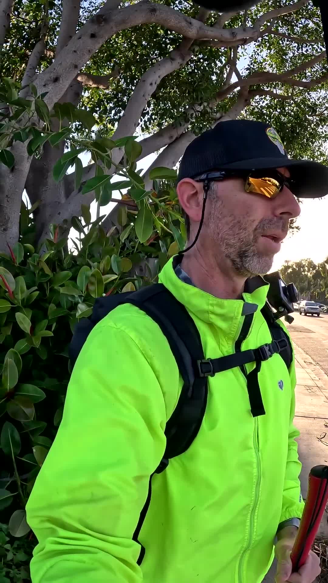 Trying not to get run over #shorts