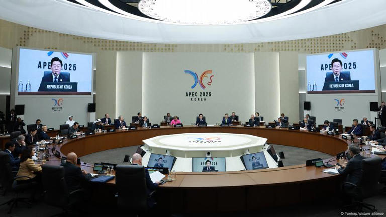 APEC summit adopts declarations on AI and demographic change