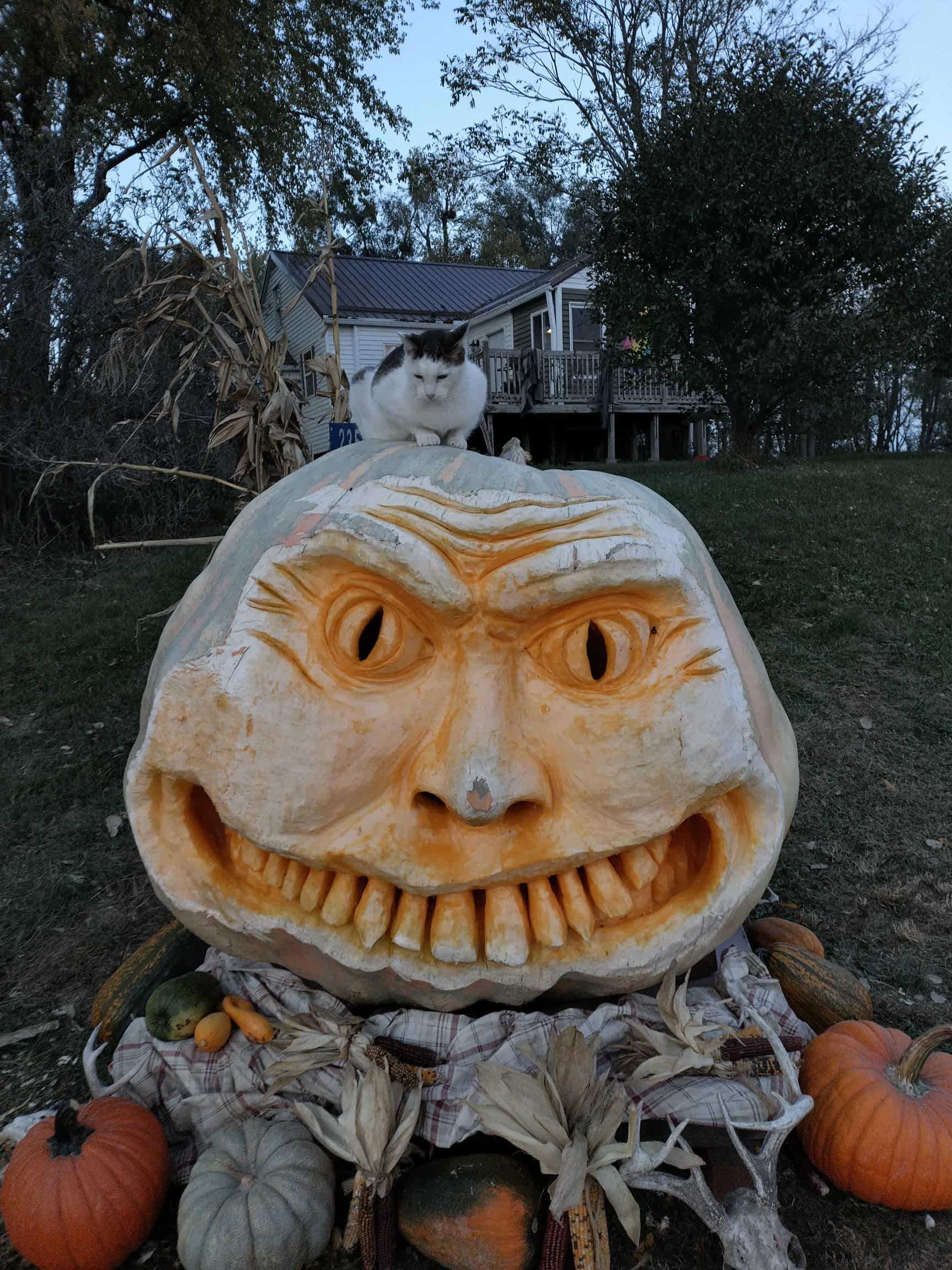 Carve out some time to see these giant jack-o'-lanterns in central Iowa