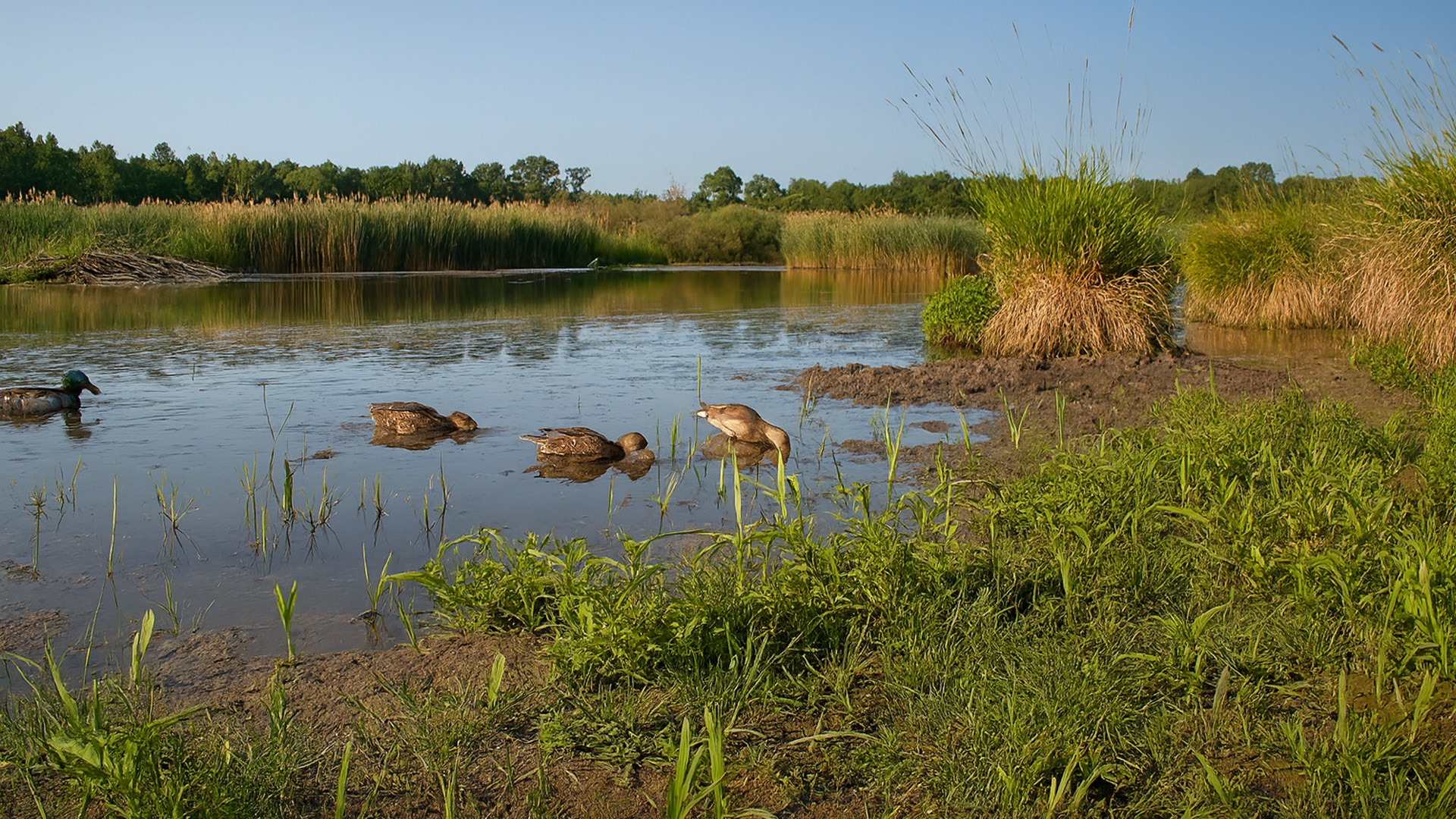 Momente am Fluss, die ohne Kamera unbemerkt bleiben