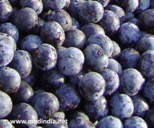 Acai Berry: Superfood or Hype? What Science Really Says
