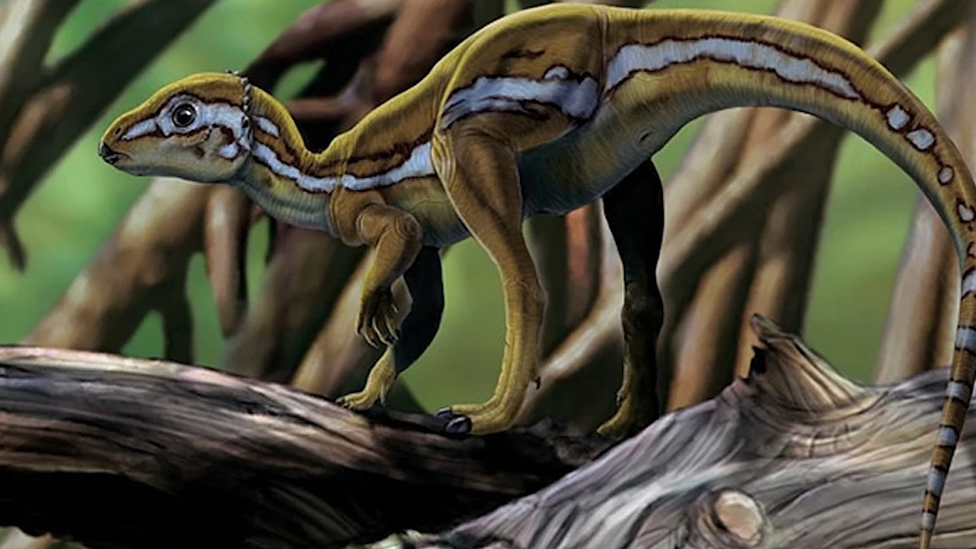 Inside the Life of the World’s Smallest Named Dinosaur