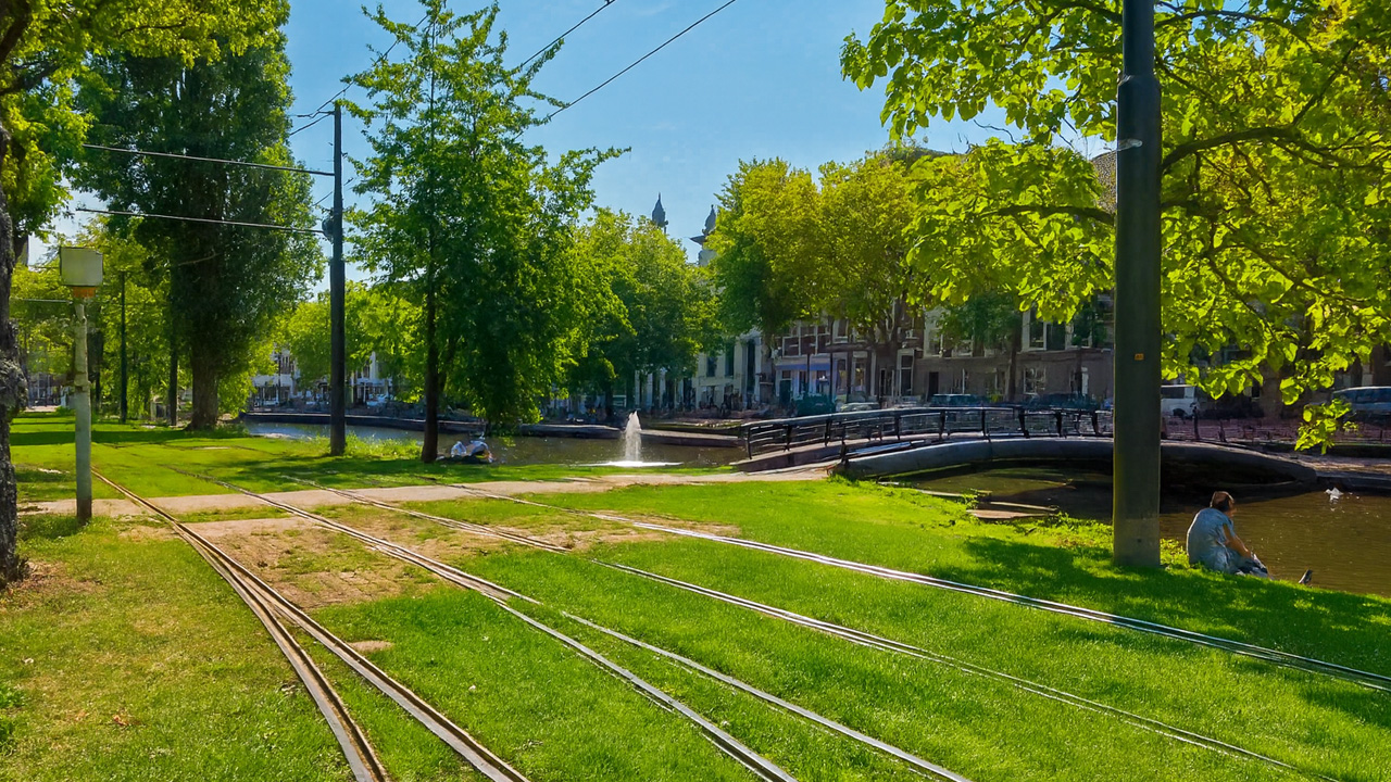 Tour a Pé por Rotterdam – Arquitetura Moderna e Ruas da Cidade na Holanda