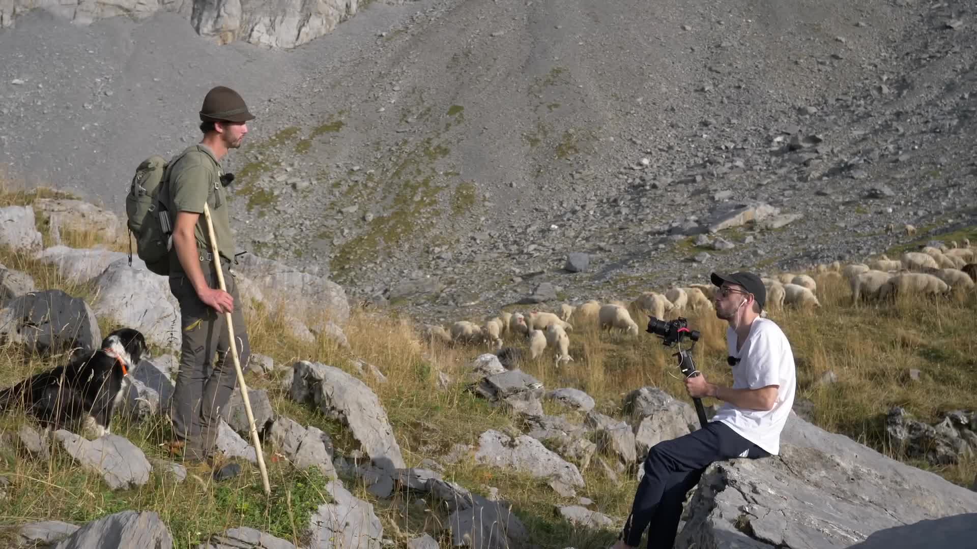 24h aux côtés d'un berger isolé