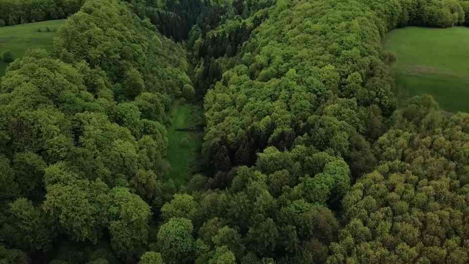 The Golden Age of Evolution: 10 Dinosaurs Too Strange to Believe