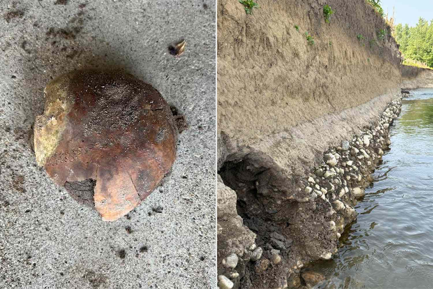 Artifact Collector Spots Human Skull on Riverbank. It Turned Out to Be ...